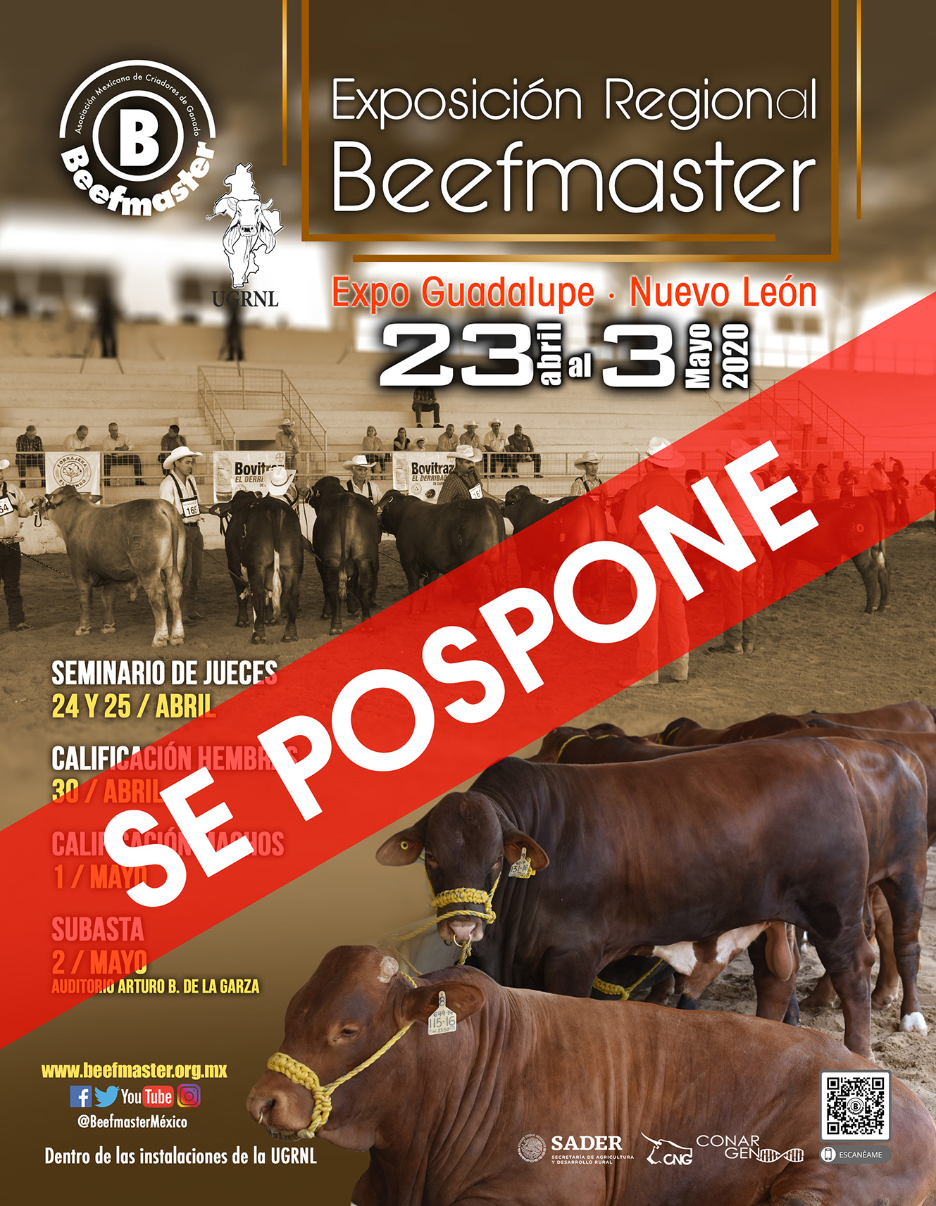 Asociación Mexicana de Criadores de Ganado Beefmaster - Raza